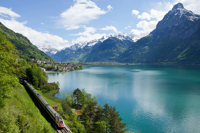 Zvicra është e pastër! - Albinfo