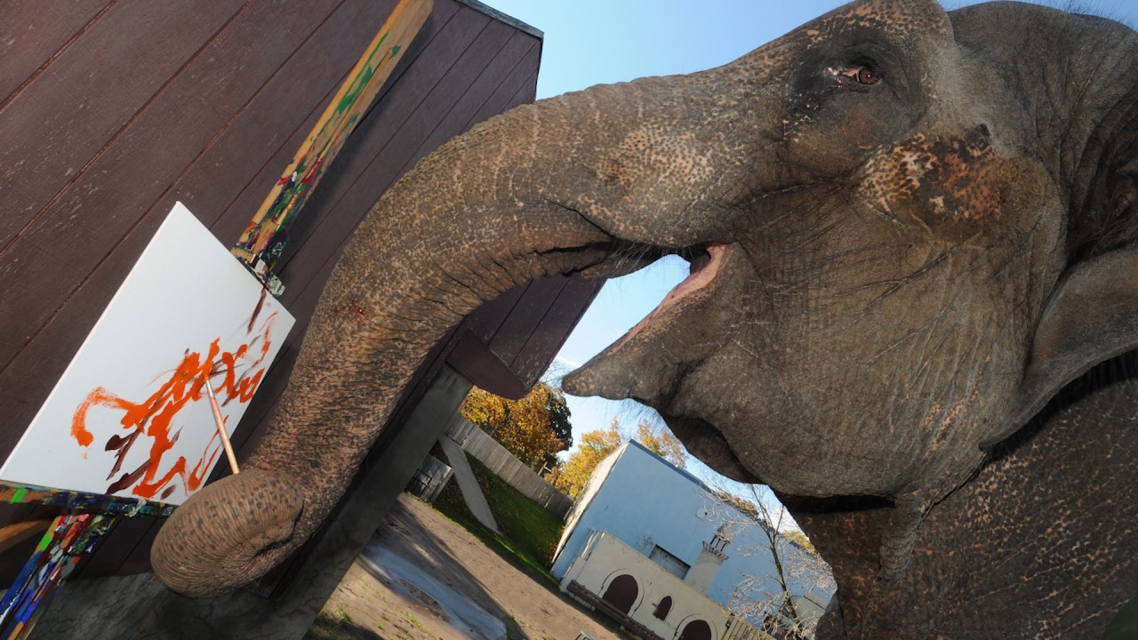 Elefantët piktorë, veprat e tyre 1,300 euro - Albinfo