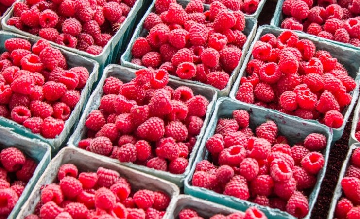 Gjërat që mund të mos i keni ditur për mjedrat - Albinfo