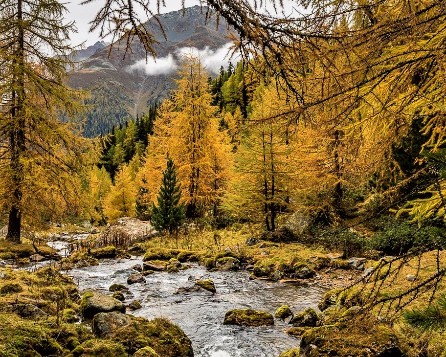 Vjeshta, e përshkruar si "e artë" në Zvicër, vjen me disa këshilla për ...
