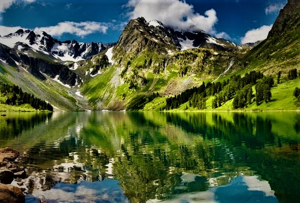 Bukuritë magjike që dhurojnë Bjeshkët e Rugovës - Albinfo