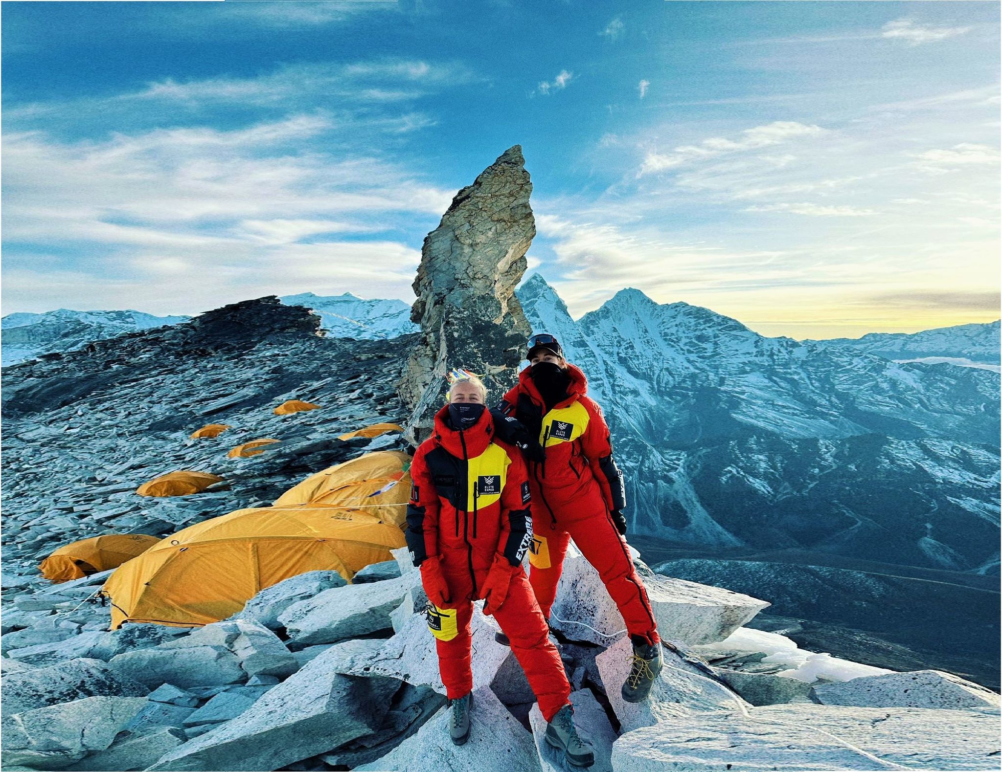 Gentiana, “lulja e Alpeve” që po pushton majat e botës - Albinfo