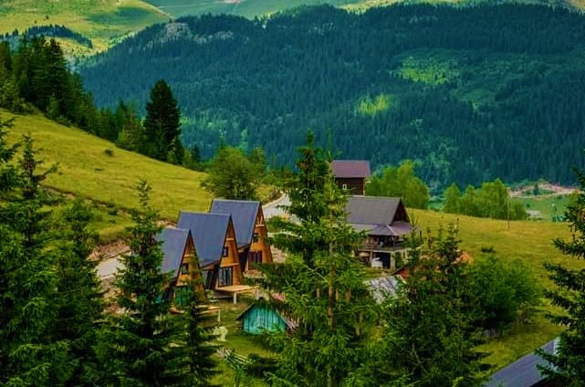 Bukuritë magjike që dhurojnë Bjeshkët e Rugovës - Albinfo