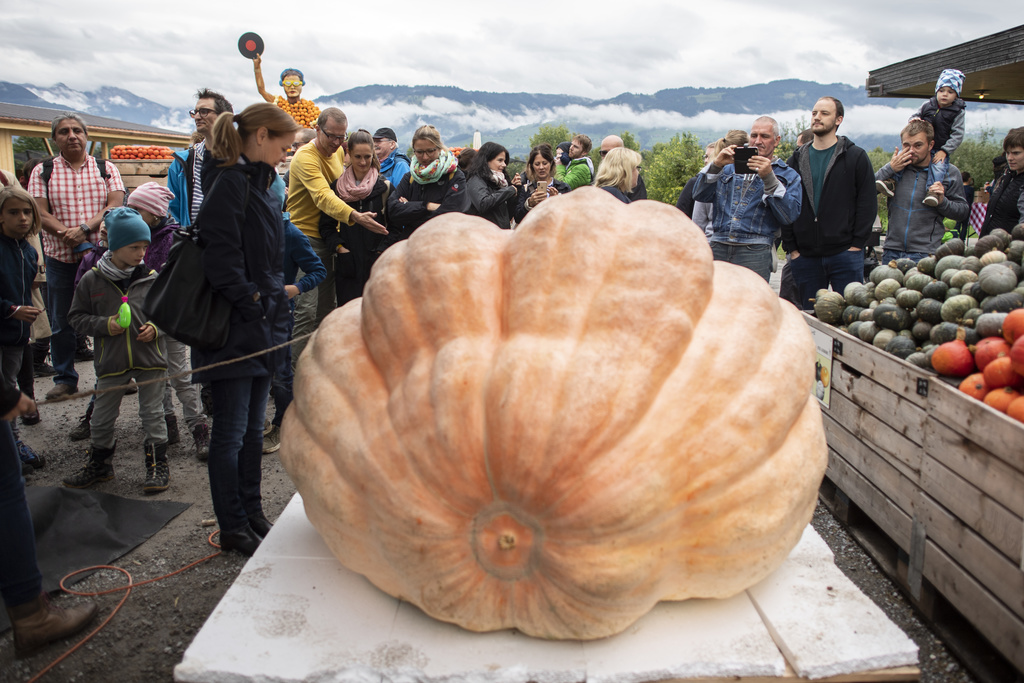 Kungulli më i madh i Zvicrës më 2023 - Albinfo