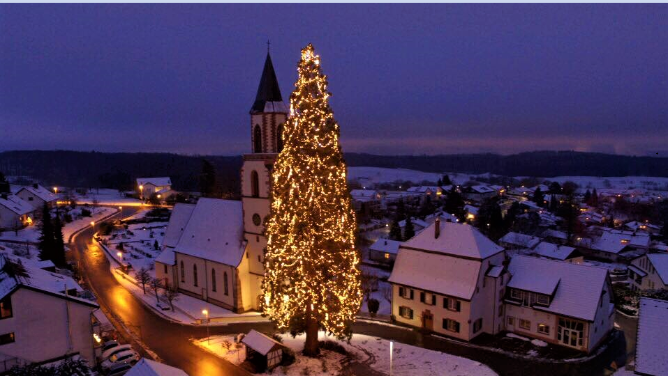 Jo larg Bazelit, ndriçohet bredhi natyral 36.4 metra i lartë - Albinfo