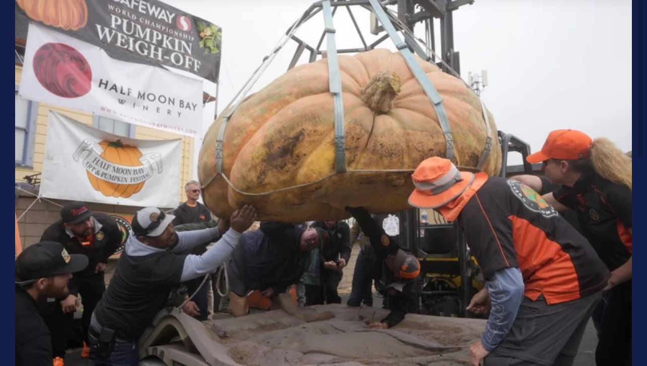 Shpallet kungulli më i madh i vitit - Albinfo