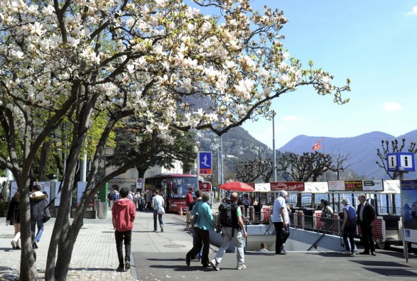 Zvicër: Pluhuri i Saharasë po ikën, pranvera po vjen - Albinfo